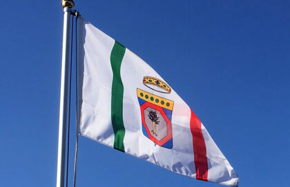 le bandiere delle 20 regioni d'Italia, bandiere regionali.